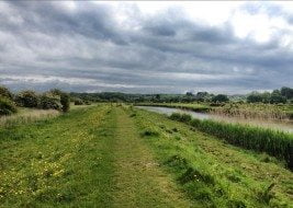 What to Do When You Don't Feel Like Doing Anything — HavingTime