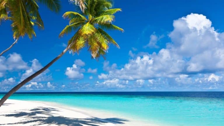 What It’s Like to Travel to the French Pacific Islands — HavingTime